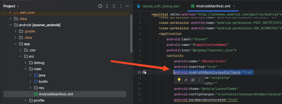 实现 Flutter 预测性返回 - Clarium Noctis